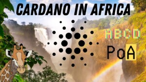 Cardano in Africa! How Blockchain Can Bank the Unbanked // Proof of ...